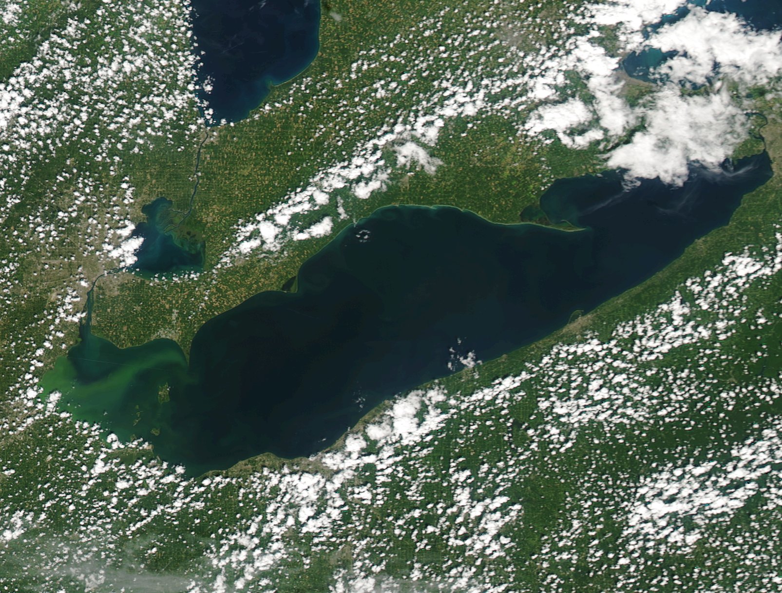 The State of Water Quality in Michigan - Flow Water Advocates