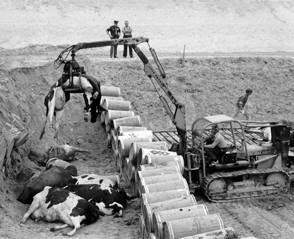 Have We Learned Our Lessons from PBB? - Flow Water Advocates