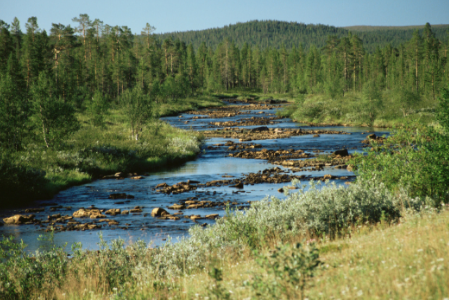 Michigan Groundwater Policy: A History - Flow Water Advocates