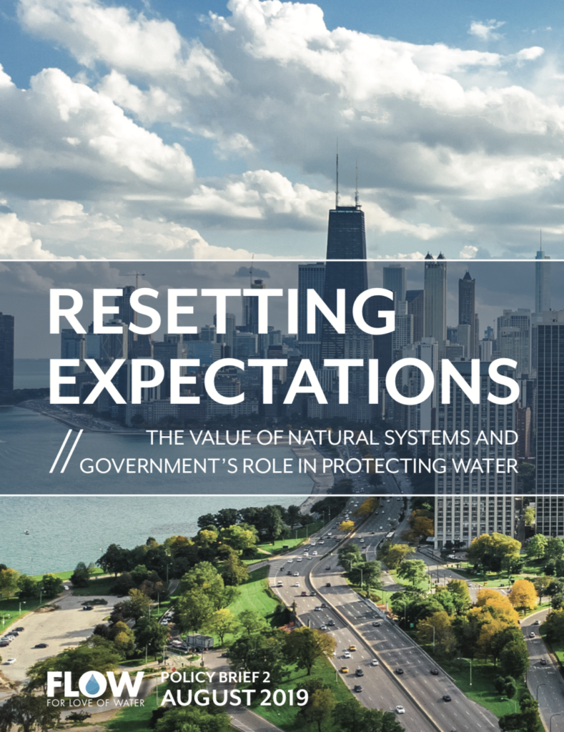 Resetting Expectations: the Value of Natural Systems and Government's ...