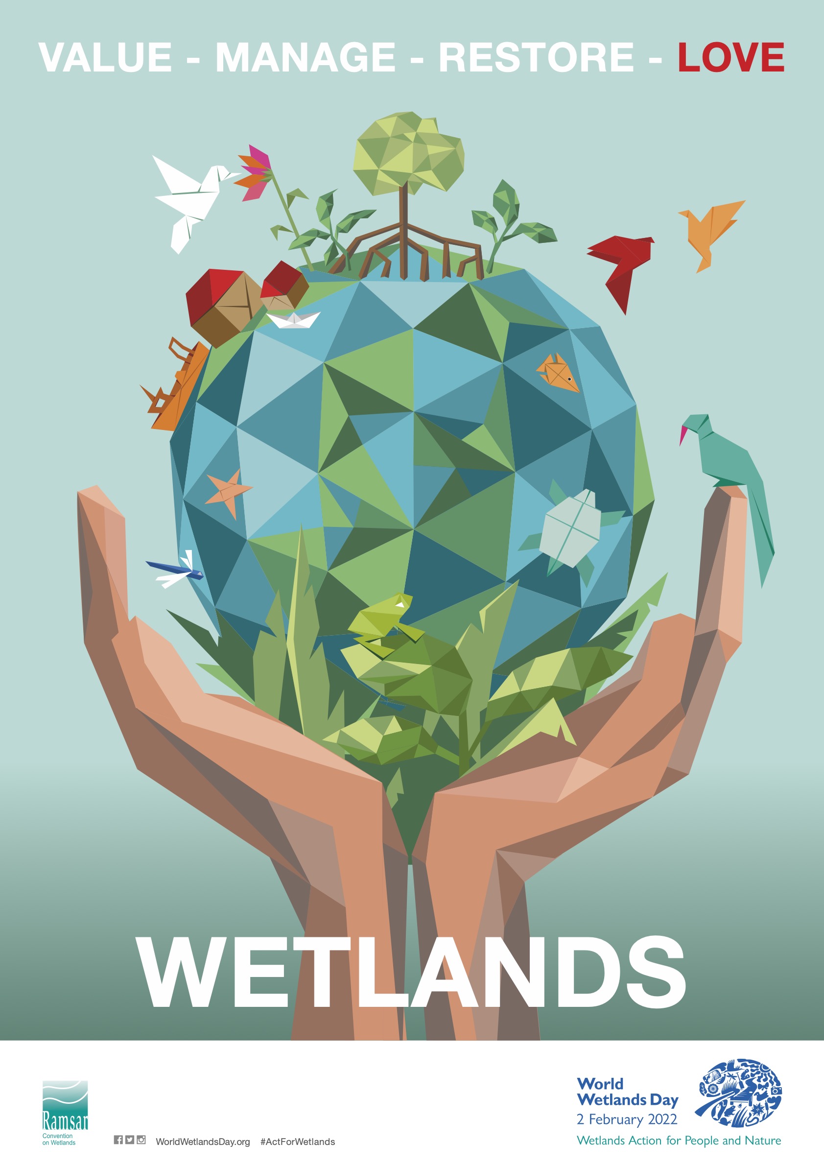 Celebrate “Earth’s Kidneys” on World Wetlands Day - Flow Water Advocates