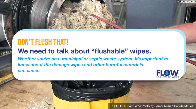 Don't flush that! - Flow Water Advocates