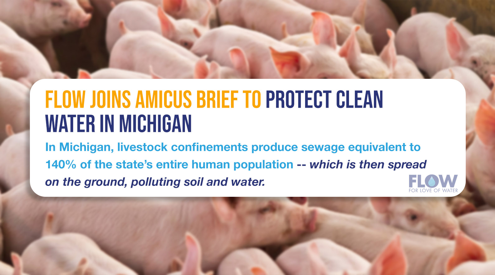 FLOW joins amicus brief in Michigan Supreme Court CAFO case - Flow ...