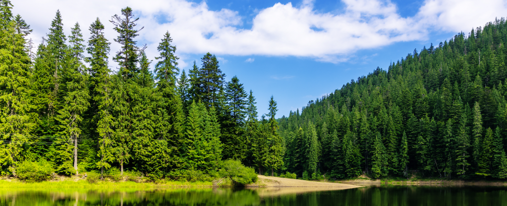 Learn more about our Leadership Giving Circle. - Flow Water Advocates